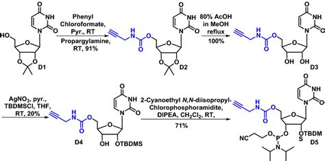 Chemical Synthesis Of Rna With Site Specific 5′ Alkynyl Uridine Download Scientific Diagram