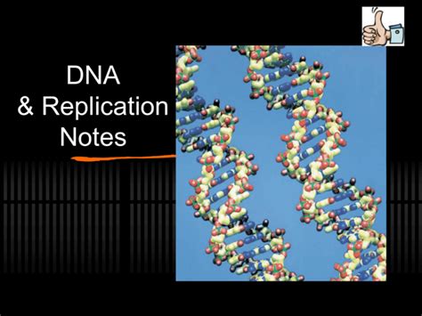 Dna Ppt