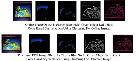Color Based Segmentation Using K Clustering Download Scientific Diagram