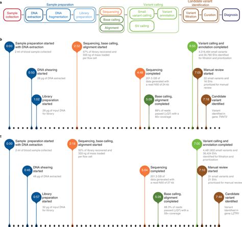 Ultra Rapid Sequencing Pipeline Performance The Detailed Schema Of The