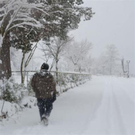 Abdul Rahim Abdullah Senior Lecturer Technical University Of Malaysia Malacca Malacca