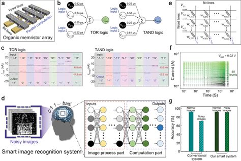 potentials of the developed organic memristor in practical and complex