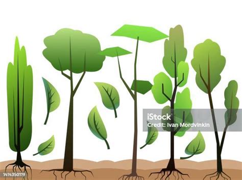 뿌리를 가진 어린 나무의 묘목 정원 식물 과일 재배 흰색 배경에 고립되어 있습니다 하단 수평 컴포지션 테두리입니다 벡터 0명에 대한 스톡 벡터 아트 및 기타 이미지 Istock