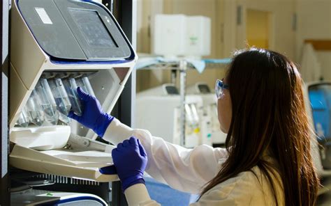 Genetic Screening Adelaide What It Is Where To Get It And Why It S Important Embrace Fertility