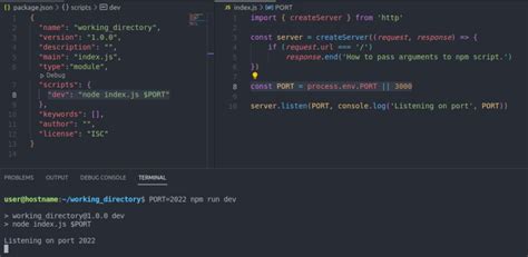 solved how to properly pass arguments to npm script golinuxcloud