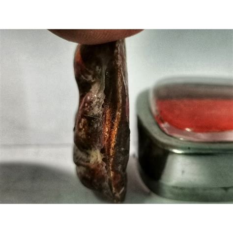 พระปิดตาหลวงพ่อแก้ววัดเครือวัลย์ ถูกที่สุด พร้อมโปรโมชั่น มี ค 2024 Biggoเช็คราคาง่ายๆ