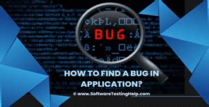 How To Find Bugs In Software Application Tips And Tricks