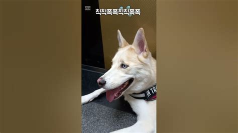 눈을 감고 들어보세요~ 기차 소리가 들려요~ Youtube
