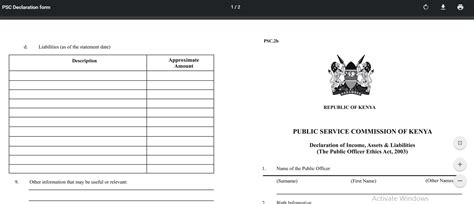 The 2019 Public Servants Declaration Of Income Assets And Liabilities Psc 2b Form Free Form