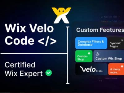 Wix Website And Add Advanced Wix Custom Code Features Upwork