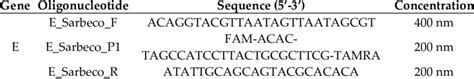 Primers And Probes For The Sars Cov 2 E Gene Download Scientific Diagram