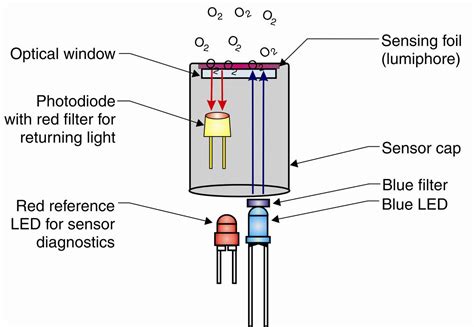 Dissolved Oxygen Detectronic