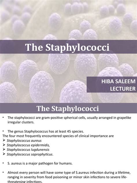 Week 3 Topic 1 Demonstration Of Characteristics Lab Diagnosis