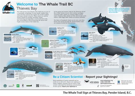 Bc History The Whale Trail