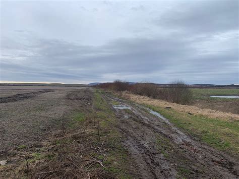 Львівський підприємець купує 50 гектарів землі біля Львова за 103 млн грн