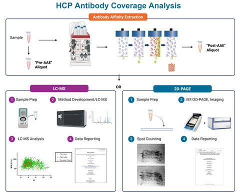 Choosing The Right Sample For Hcp Antibody Coverage Analysis