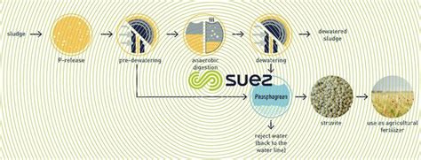 Recycle Phosphorus From Effluent To Produce A Valuable Fertilizer