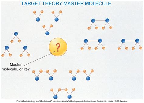 Chapter 7 Unit 3 Flashcards Quizlet