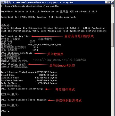 windows server 2008 r2 安装 oracle 11g r2 dataguard windows oracle安装及