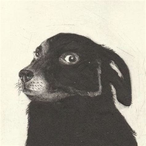 ‎sidmas Profile • Letterboxd