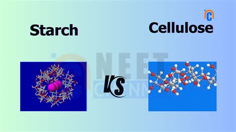 Difference Between Exoskeleton And Endoskeleton Neet Chennai