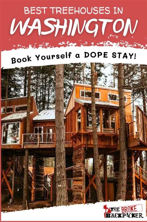 10 STUNNING Treehouses In Washington State 2025 Edition
