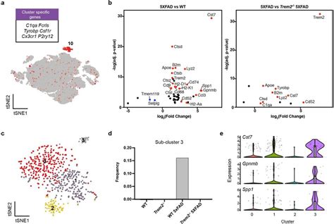 Characterization Of The Microglia Cluster In The 15 Month Old Mouse
