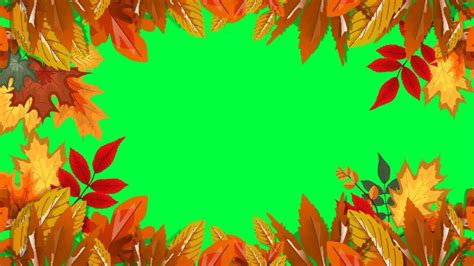 Falling Leaves Green Screen Stock Video Footage For Free Download