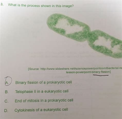 601 Best Ap Bio Images On Pholder Ap Students Ap Bio Nbc And