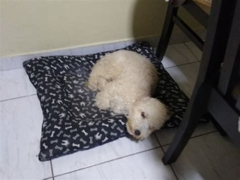 Zzzzzzzzzzzzzzzzzzzzzzzzzzzzzzzzzzzzzzzzzzzzzzzzzzzzzzzzzzzzzzzzzzzzzzzzzzzzzzz Alex Gamer