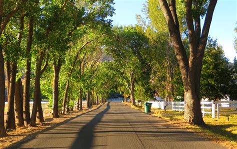 Rhodes Road Area Reno Nevada Reno Is A City In The Us St… Flickr