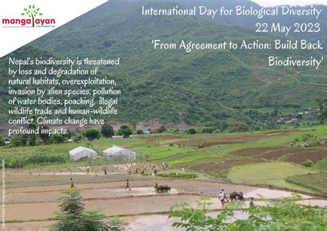 Niraj Shrestha Posted On Linkedin