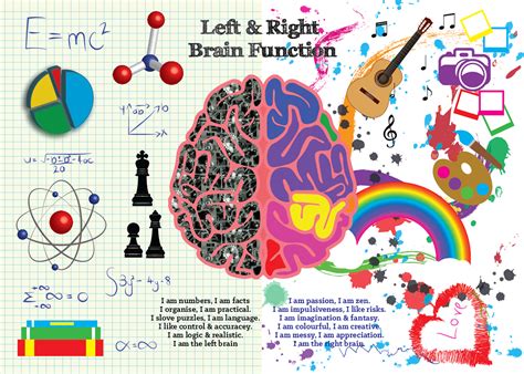 ★left Brain Right Brain Hemispheric Synchronization Formula★ Quadibl
