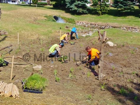 Wetlands Mitigation Planning Enviroscience