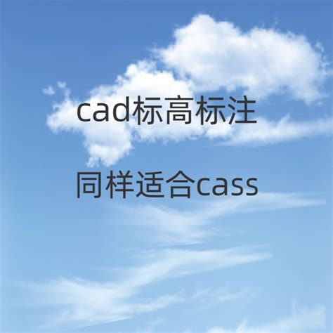 Cad标高标注同样适合cass智能标高标注插件指定点标注断面信心 Taobao Cad标高标注同样适合cass智能标高标注插件指定点标注断面信心 Taobao