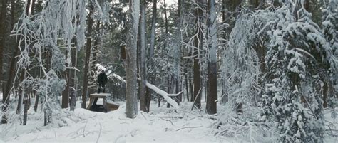 Whitewash P Web Dl H Rarbg Download Torrent Tpb