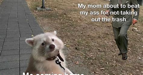 Template Example Album On Imgur Template Example Album On Imgur