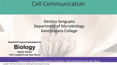 Cell Signalling Pathway Intra And Extra Cellular Signalling Pptx