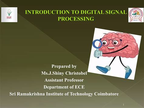 Dsp Ppt Pdf Digital Audio Computer Software And Applications