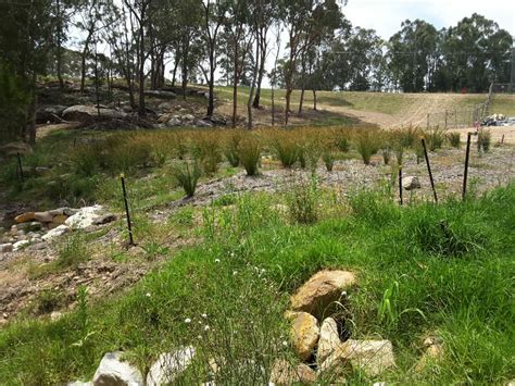 Vegetation Management Plan Implementation Total Earth Care