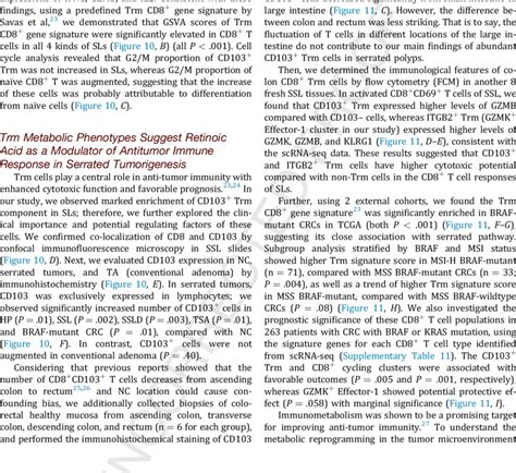 See Previous Page Identification Of Two Distinct Epithelial Cell Download Scientific Diagram