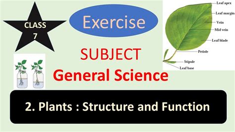 Class 7 General Science Chapter 2 Exercise Plants Structure And