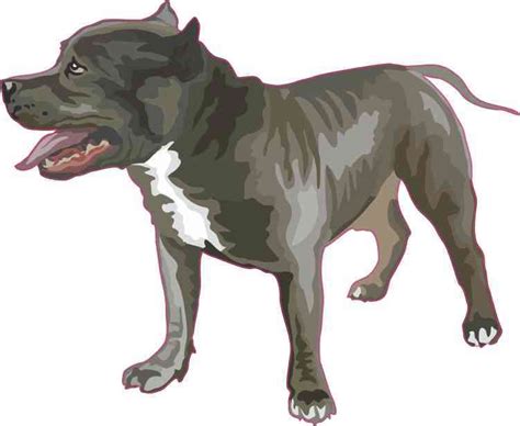 5in X 4in Blue Pitbull Sticker Stickertalk®