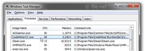 Codemeterccexe Windows Process What Is It