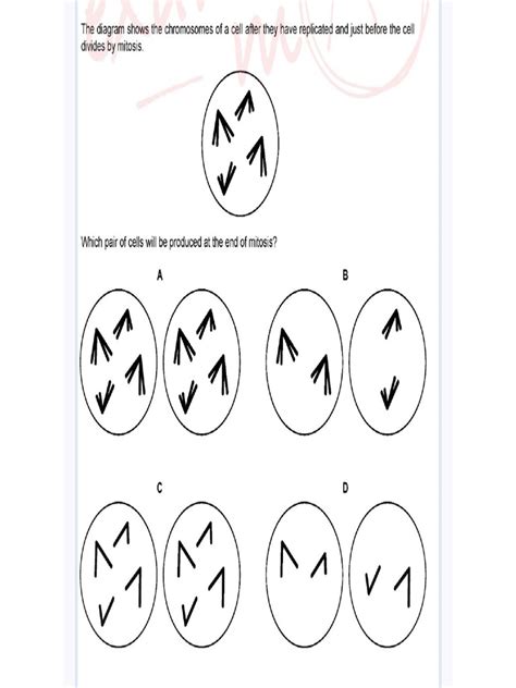 Human Reproduction Inheritance Variation Pdf
