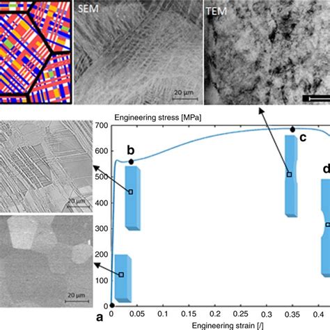 Evolution Of The Microstructure During Deformation A The Initial