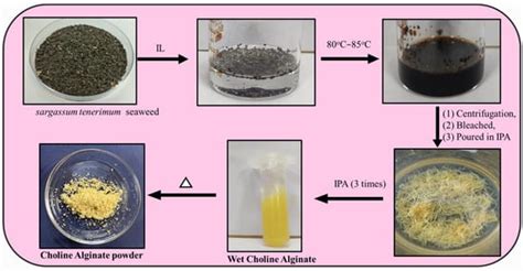 Aqueous Solution Of Ionic Liquid Is An Efficient Substituting Solvent System For The Extraction
