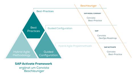 Activate Switch In Sap At Billy Tate Blog
