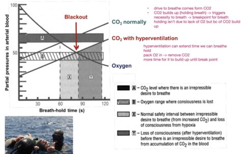 Extreme Physiology 2b Flashcards Quizlet