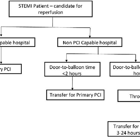 Current Reperfusion Strategy For St Segment Elevation Myocardial Download Scientific Diagram